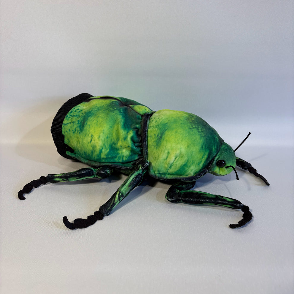 Green Scarab Beetle Christmas Beetle Rock Climbing Chalk Bag – Awesome ...